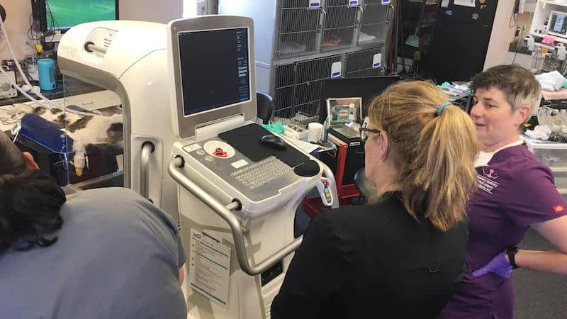 VetCAT - Portable CT Scanner for Veterinarians