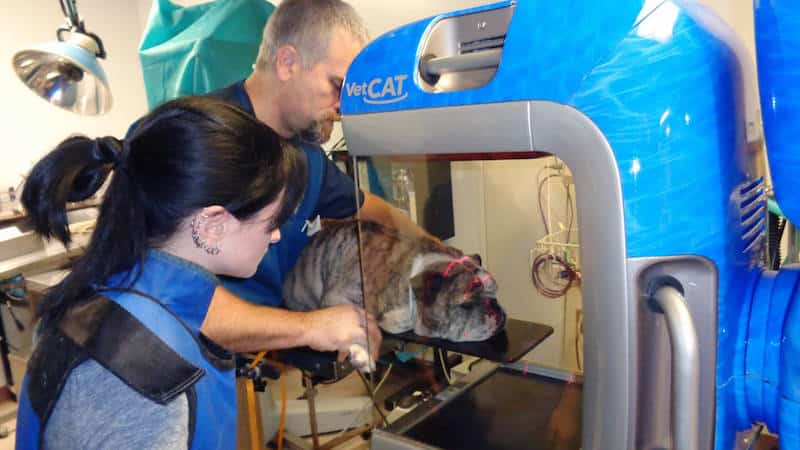 VetCAT - Portable CT Scanner for Veterinarians