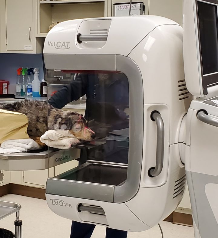 Understanding Your CT Imaging Options - Xoran Technologies LLC