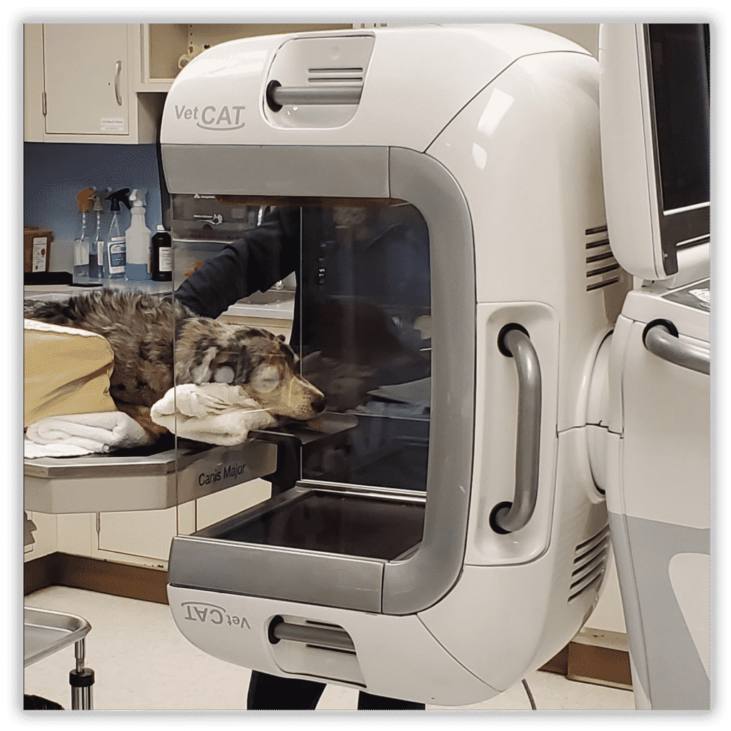 Understanding Your CT Imaging Options - Xoran Technologies LLC