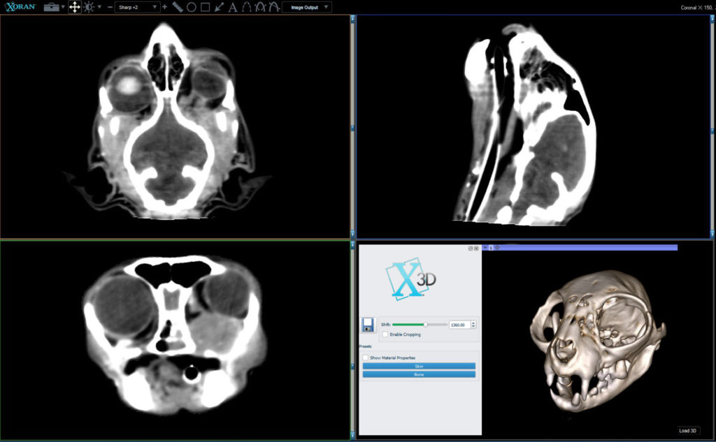 VetCAT IQ - Dental and Dermatology CT Scanner for Veterinarians