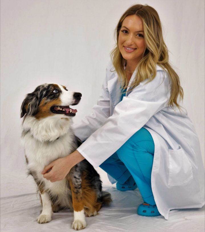 5 Features to Consider When Purchasing a Veterinary CT