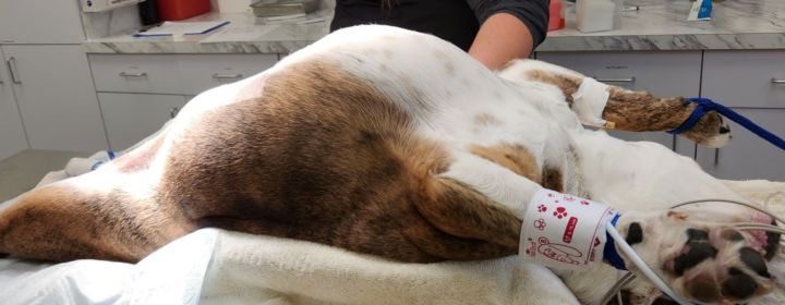 vTRON imaging enables change in surgical plan