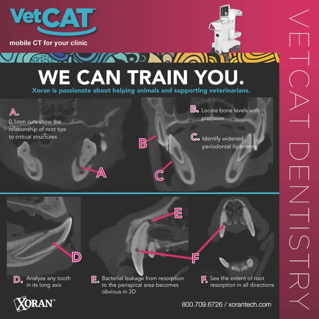 Veterinary One-Pagers - Xoran Technologies LLC