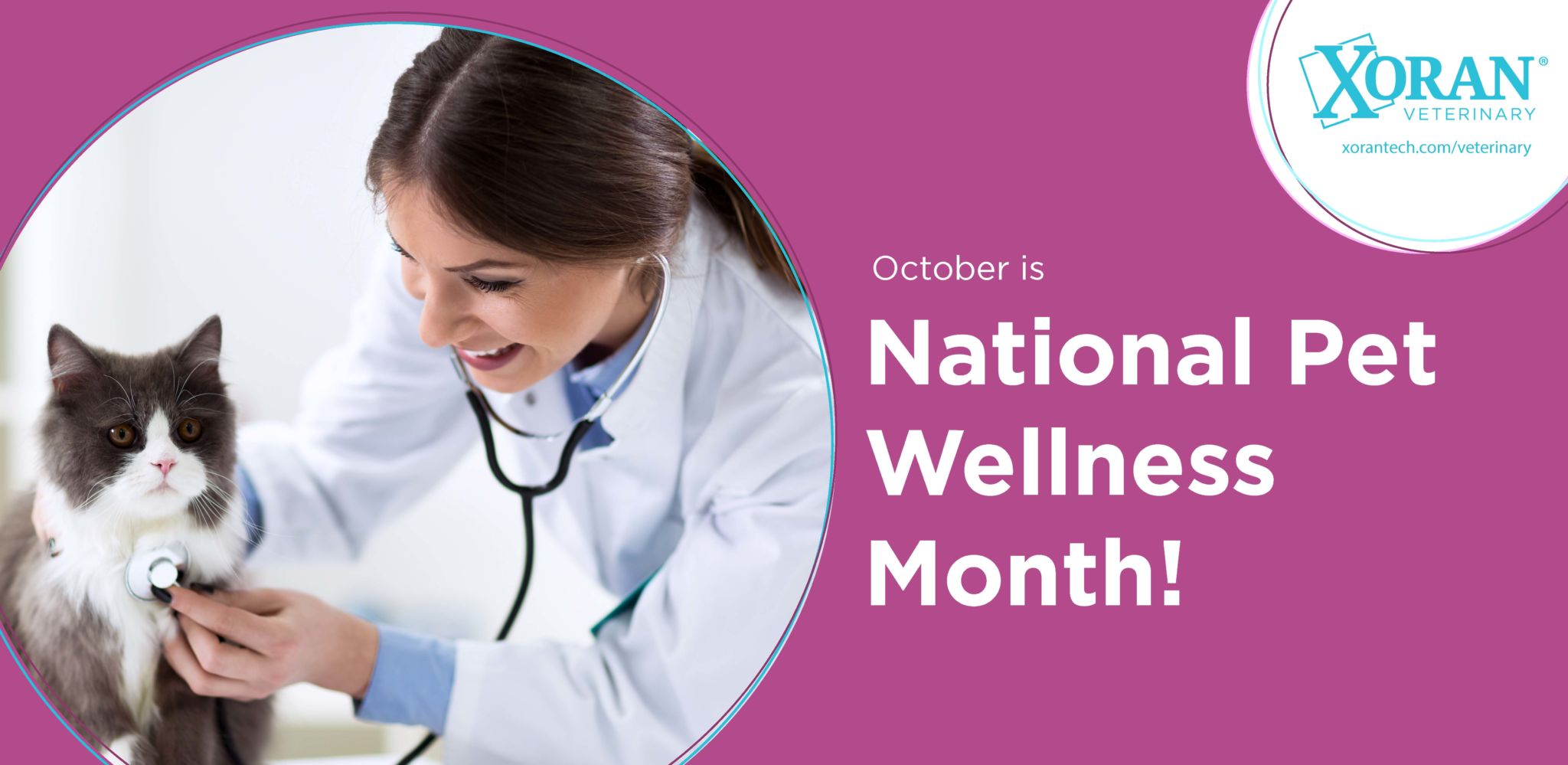 October is National Pet Wellness Month