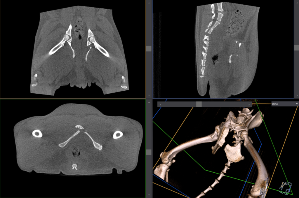 vTRON Imaging is the Future of Diagnostic Animal Care