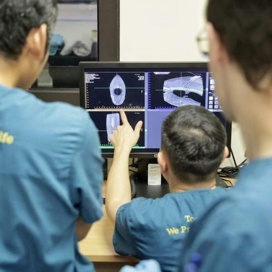 vTRON successfully scans Fish!